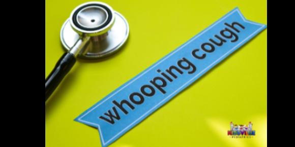 Understanding and Preventing Pertussis: A Comprehensive Guide to Whoop