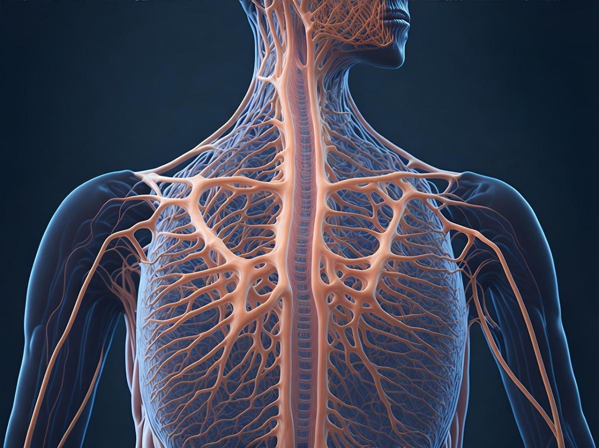 The Connection Between Spinal Health and Neuropathy Relief