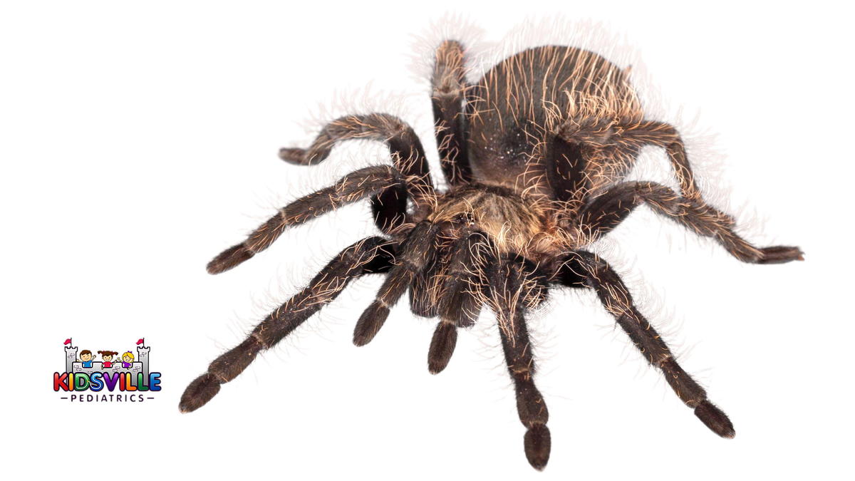 Fear or Phobia? Know the Signs in Your Child’s Behavior