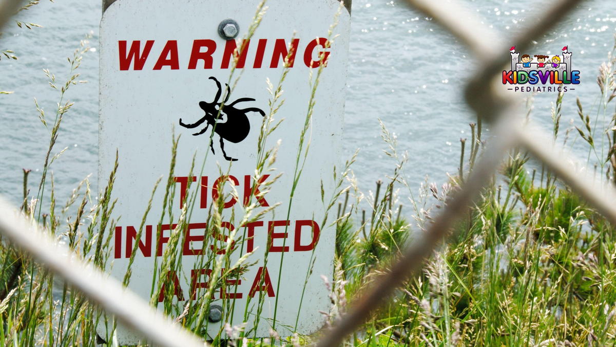 Summer Tick Safety for Families